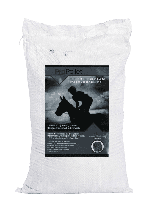 Pro Copper Horse Supplement - AFS