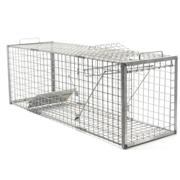 Live Catch Fox Trap