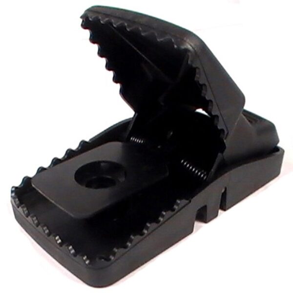 T-Rex Rat Trap - AFS