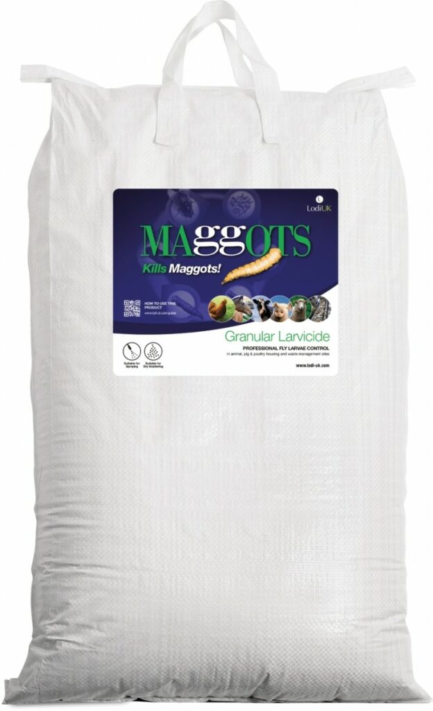 Maggots 20kgs - AFS