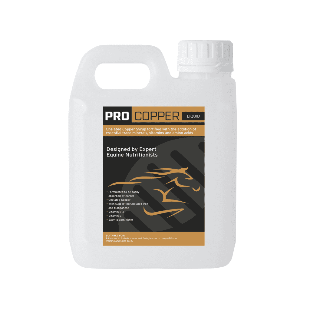 Pro Copper Horse Supplement - AFS